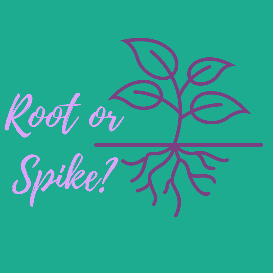 Orchid Growing: A Spike or A Root? – Akatsuka Orchid Gardens